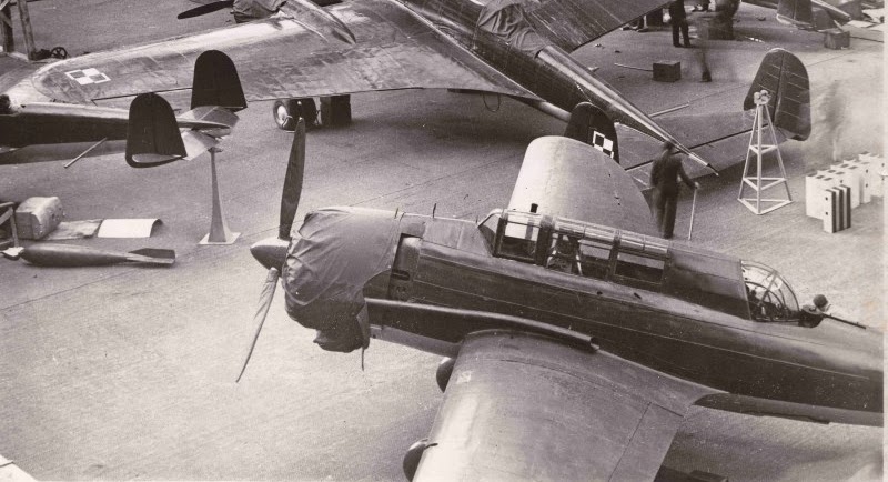 PZL.42 - POLSKI NURKOWIEC