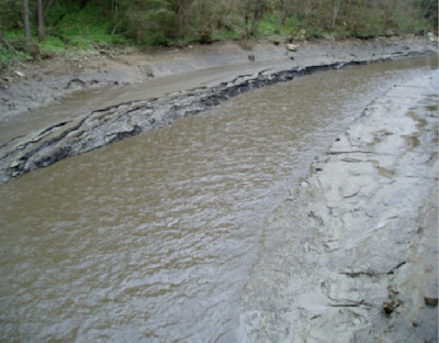 Darf ich mich vorstellen: "Ich, die Mur!": Faulschlamm