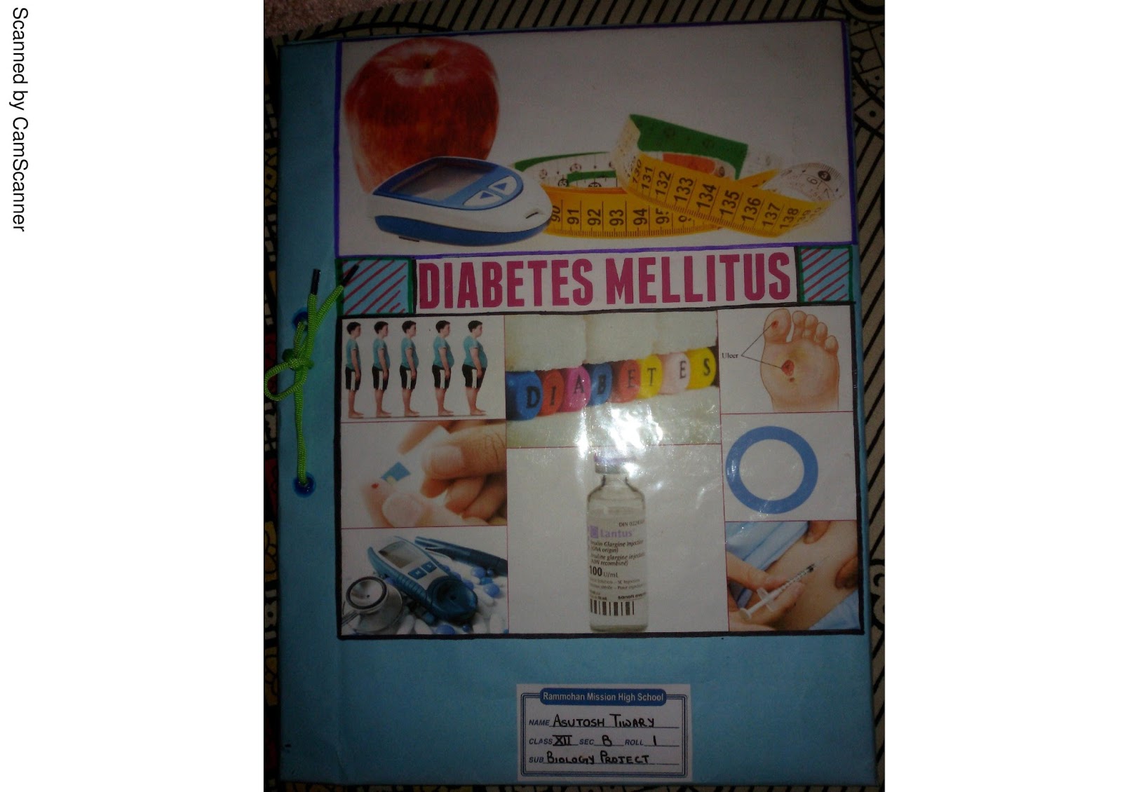 Class 12 SCIENCE Practical Readings and Projects: ISC Biology Project ...