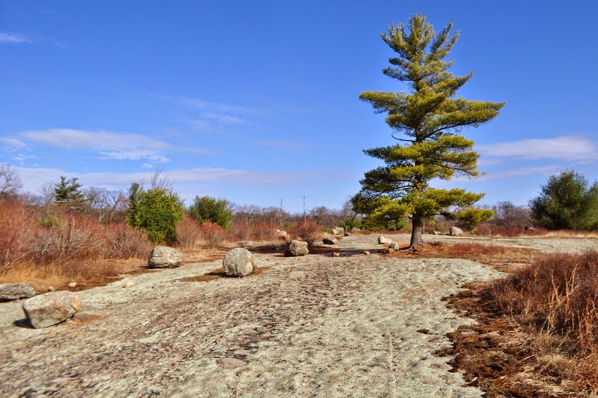 Harriman Hiker: Harriman State Park and Beyond: Black Rock Mnt and ...