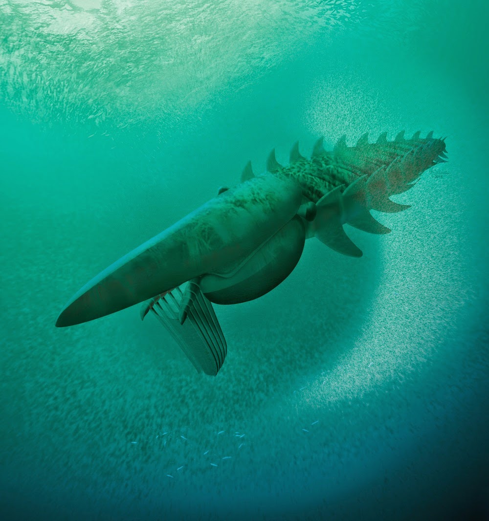 Species New to Science: [Paleontology • 2015] Aegirocassis benmoulae ...