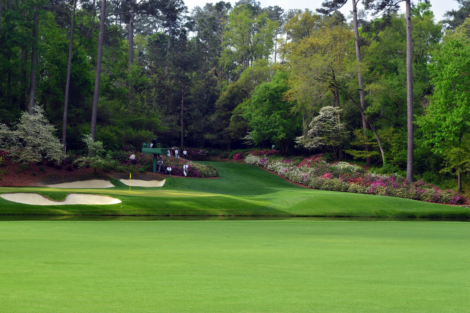 Golf’s Signature Roar is Back « Ottawa Golf Blog