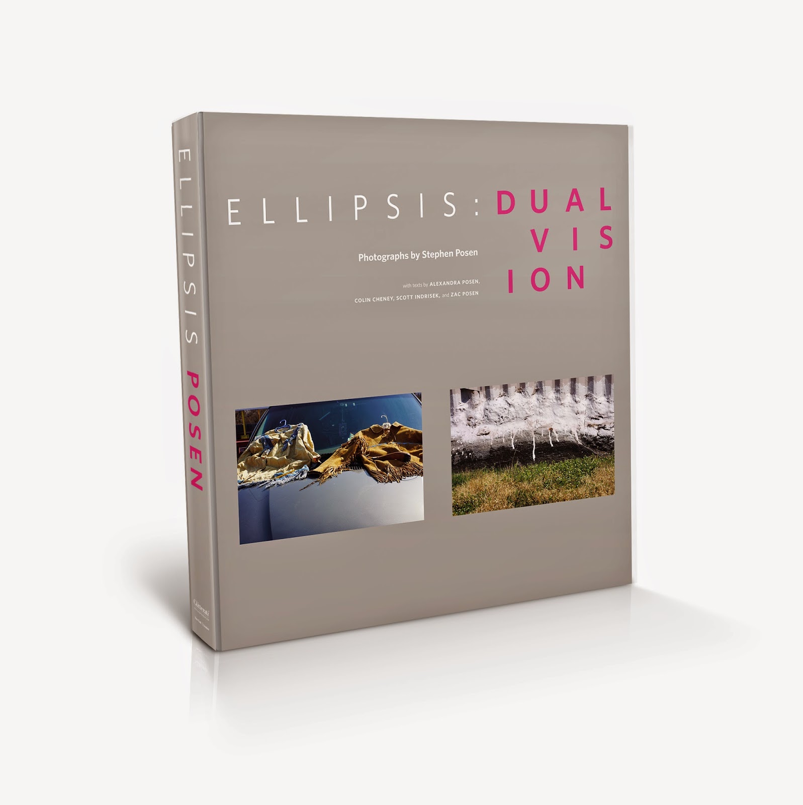 The Arts by Karena: Ellipsis: Dual Vision by Stephen Posen