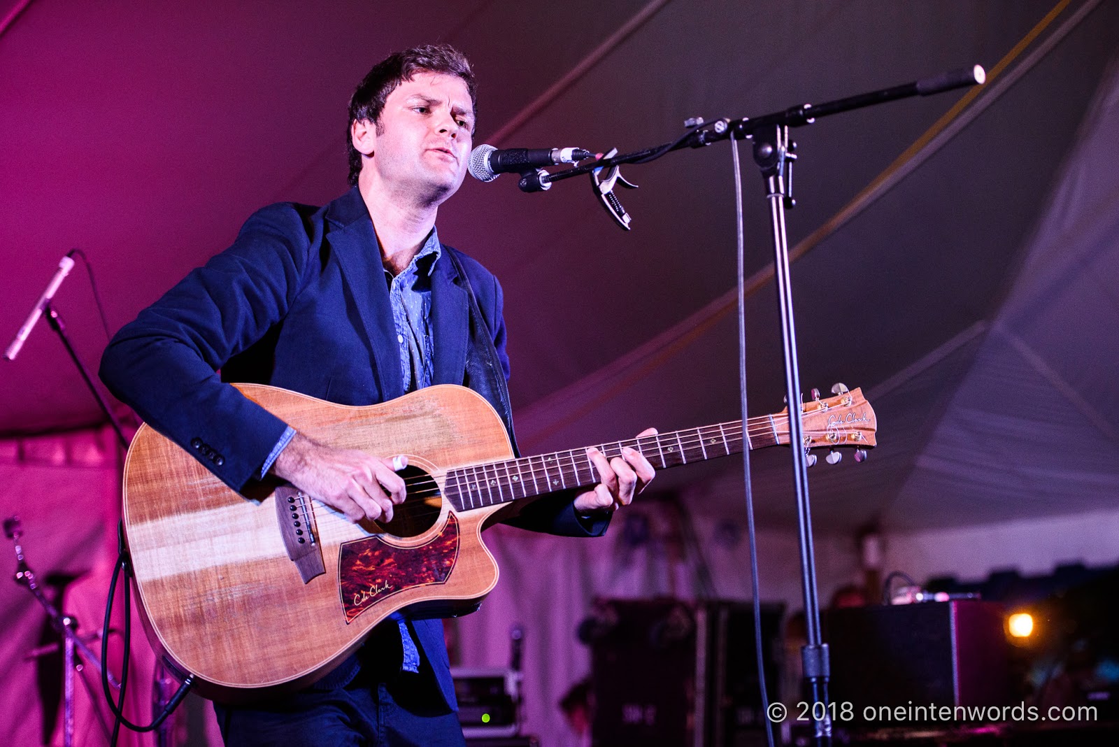 one in ten words: Hillside 2018: Day 1: Daniel Champagne - Concert Photos