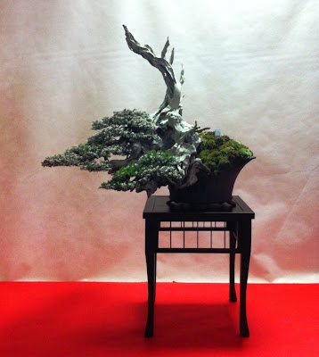 FKB Escuela Bonsai Mallorca: XXI EPISTOLARIUM BELLEZA MEDITERRANEA