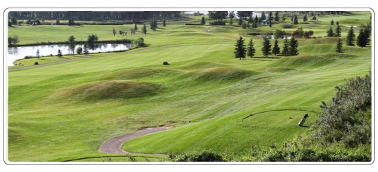 Eat Sleep Golf - Calgary: McKenzie Meadows