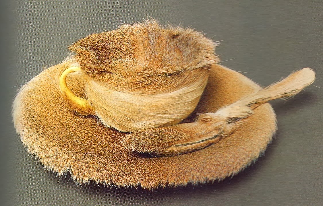 Blog de la Biblioteca Regional de Murcia: Biblioteca faquir