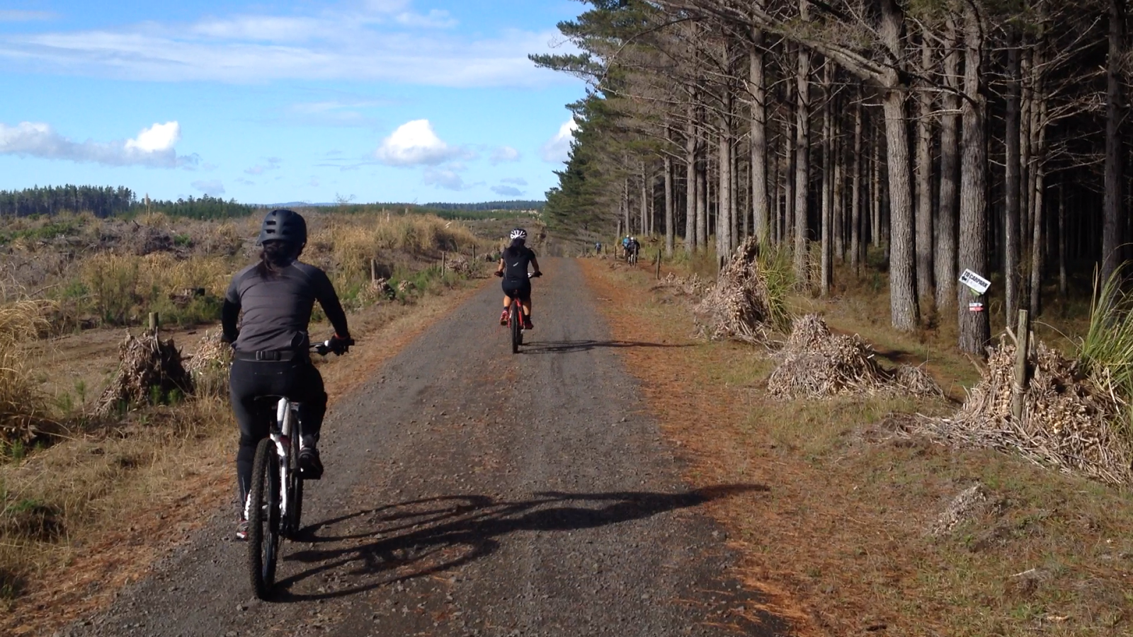 Journal of a Filipino Grad Student in New Zealand: MTB Biking in North ...