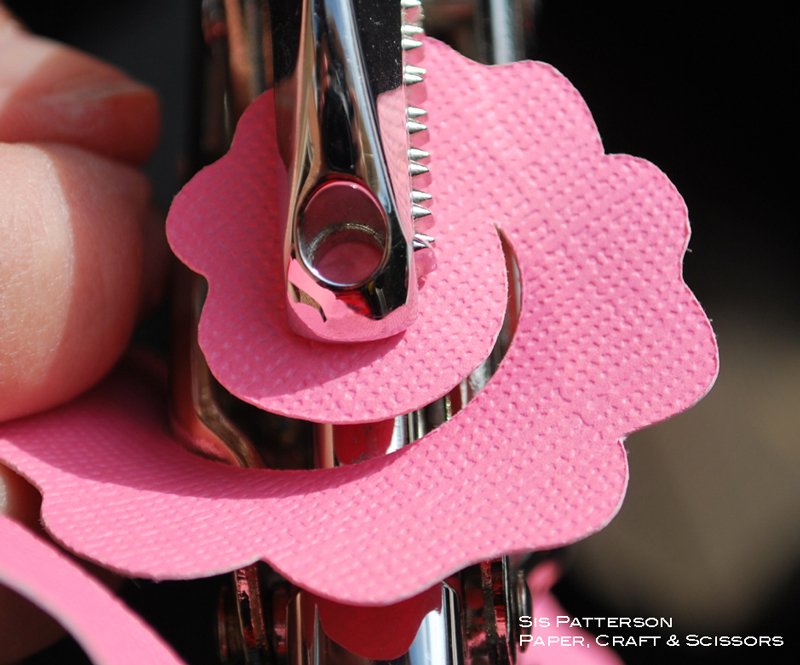 Cricut FANatics crafting is our passion: Cricut Roses