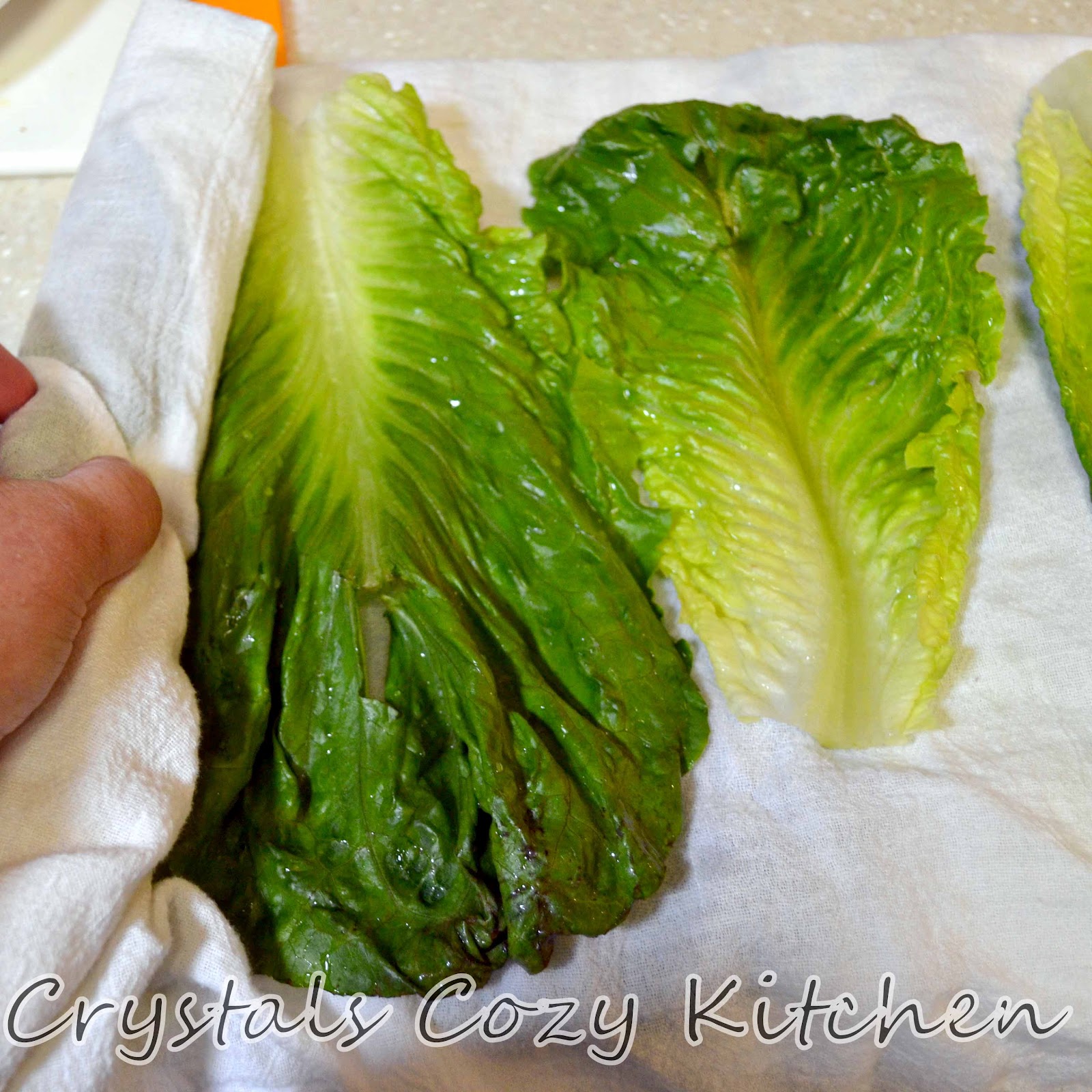 Crystal's Cozy Kitchen: Kitchen Tip: Keeping lettuce crisp longer