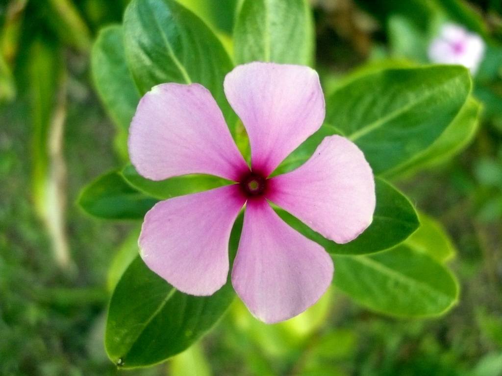 Marco Imagens Grátis: Maio 2011