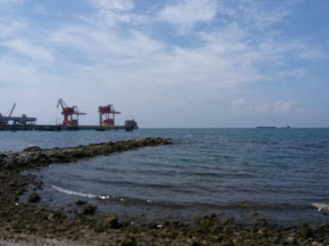 Maheswari Andini - Yellow Lime