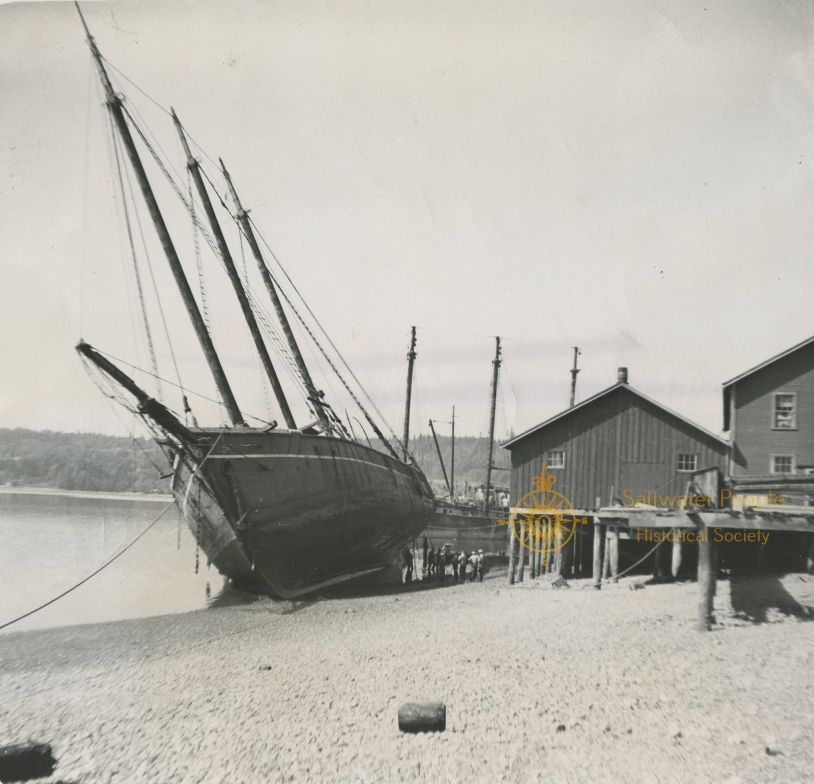 Saltwater People Log: THREE-MASTED COD FISH SCHOONER AT HOME IN POULSBO