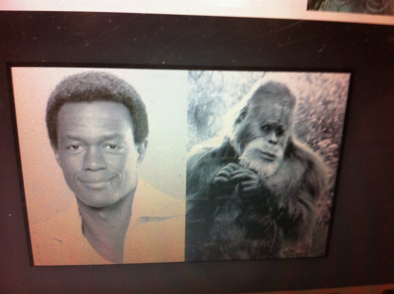 THE BLACK SOCIAL HISTORY:: BLACK SOCIAL HISTORY : AFRICAN AMERICAN ...