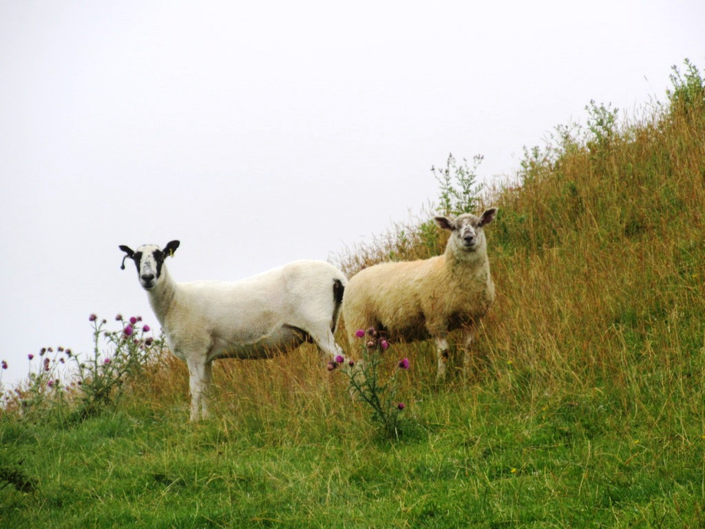 Liberal England: Back to the Iron Age: Burrough Hill, Leicestershire