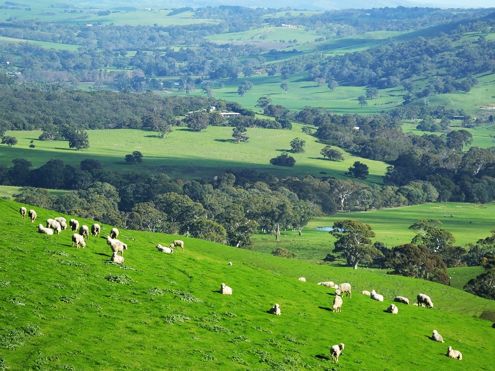 Meander to the Max: The view from Mount Alma -- high country, and ...