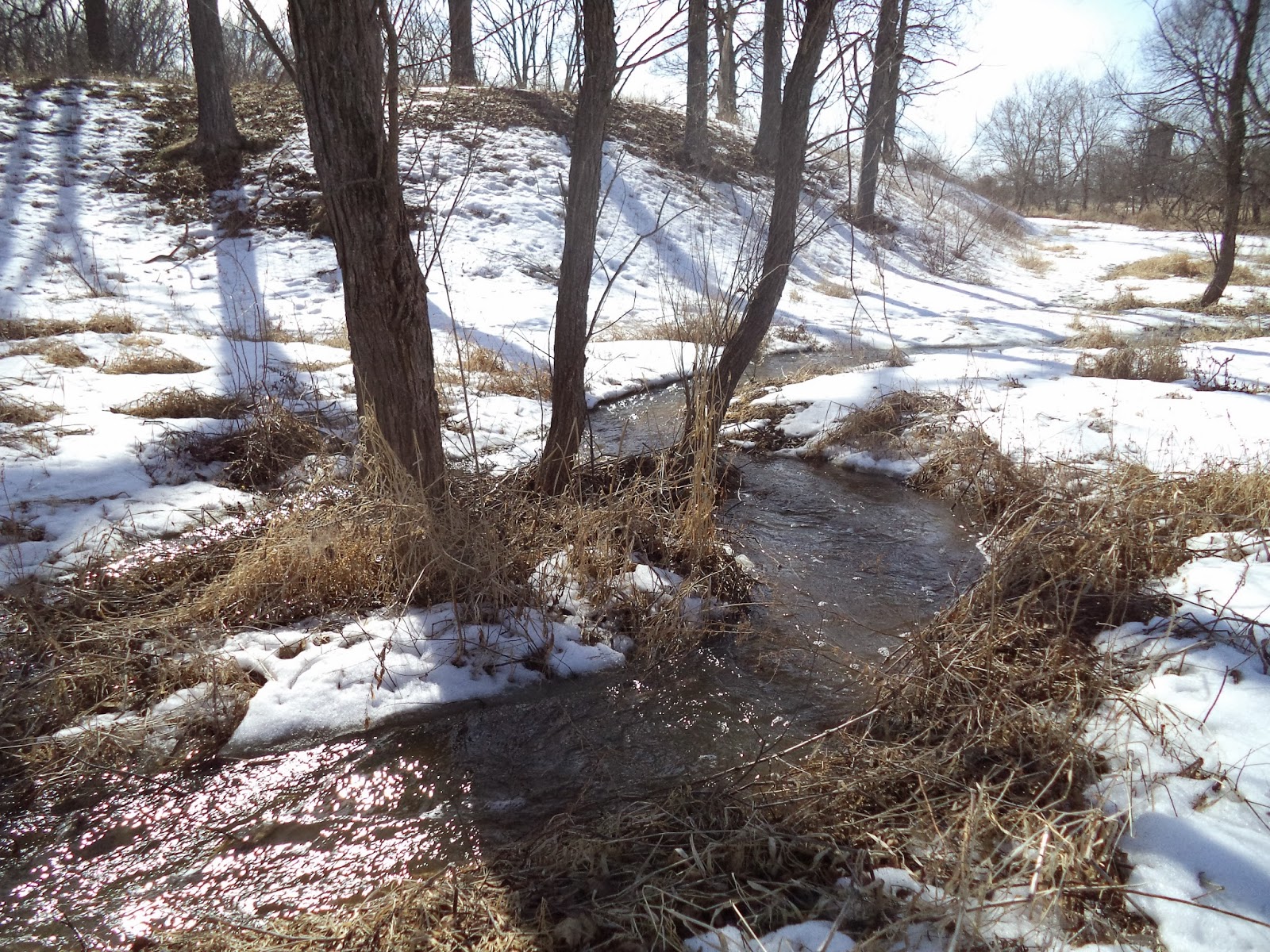 My Freezer is Full: The Spring Thaw