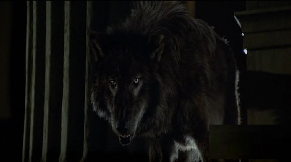 Como en botica: Lobos humanos (1981)