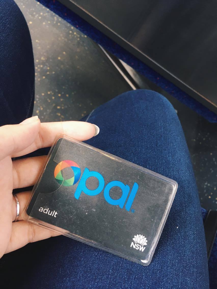 A Simple Guide to Sydney Public Transit |Livin' and Lovin'