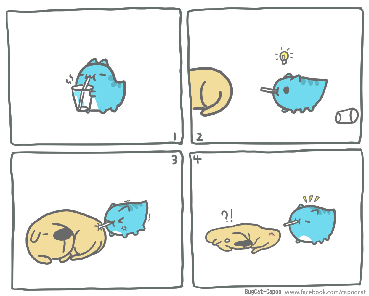 Capoo Cat: capoo run run