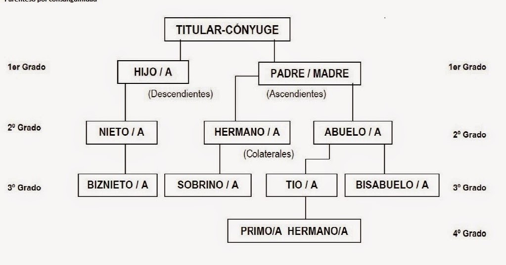 Lo que la ley regula: El parentesco y el cómputo de grados