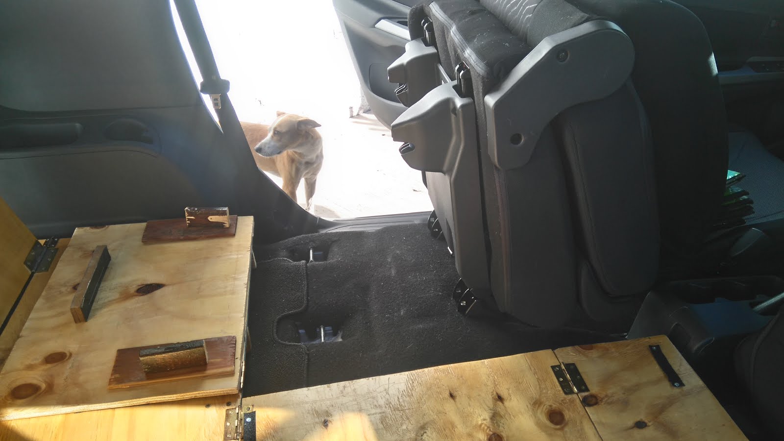 Lera Michael: Toyota Avanza the SUV-camper