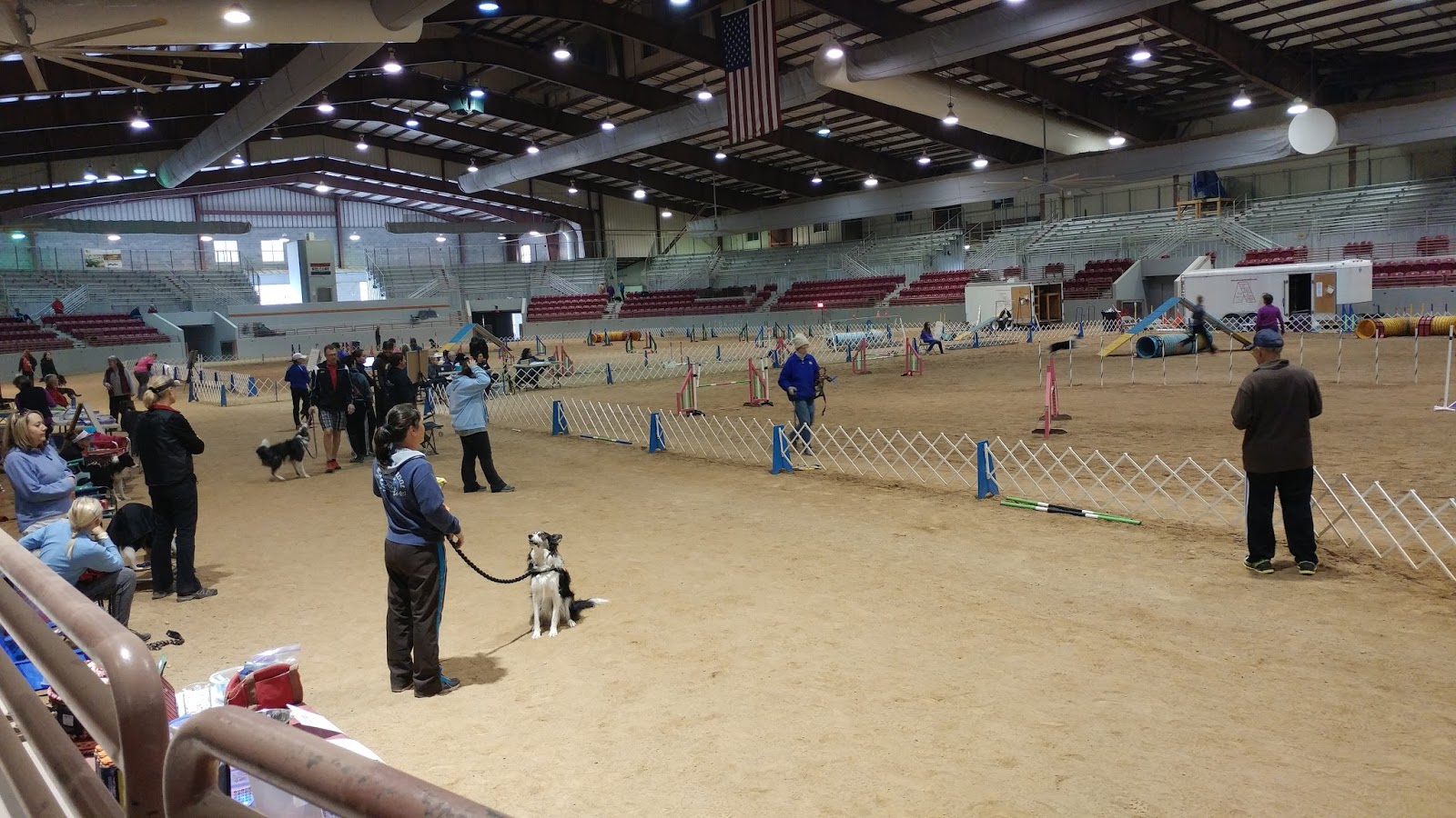 Marco Magiolo Agility: Arena em Jacksonville, Flórida