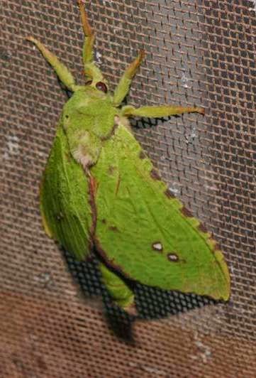 The Nature of Robertson: October 2013