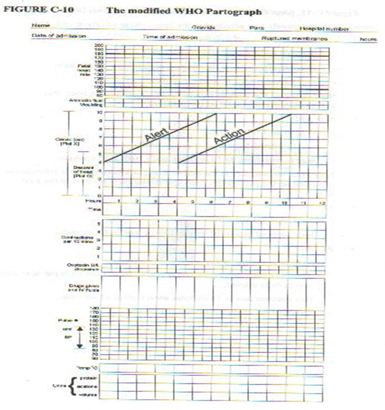 MBBS Medicine (Humanity First): Normal Labour