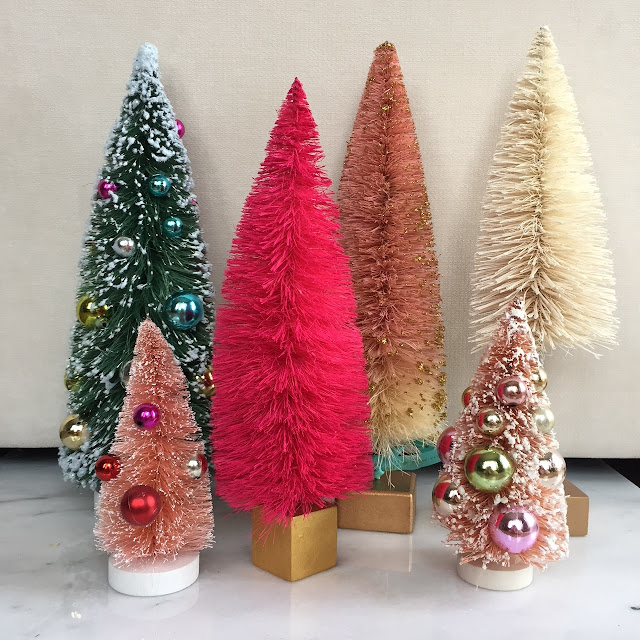 Polka-Dotty Place: Everything You Need to Know About Bottle Brush Trees