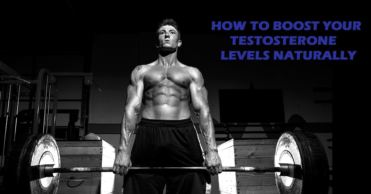 Muscle Palace: How to Boost Testosterone Levels to Maximize Muscle Growth