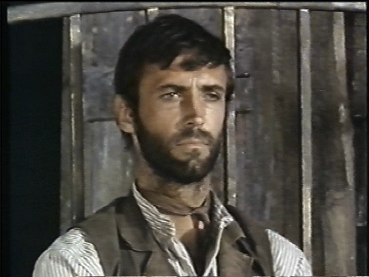 Tube Dreams: Spaghetti and Beefcake