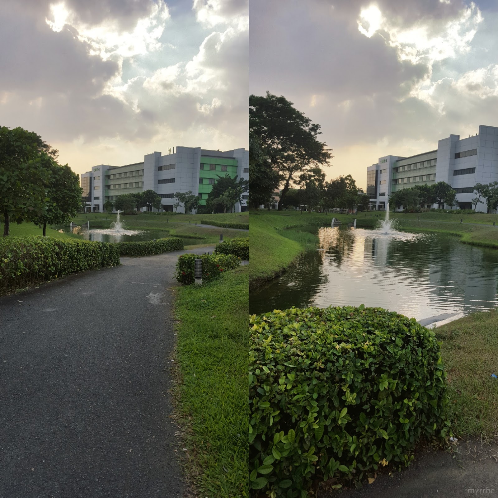 UP Ayala Technohub - Kittenish by Myrrh Reyes