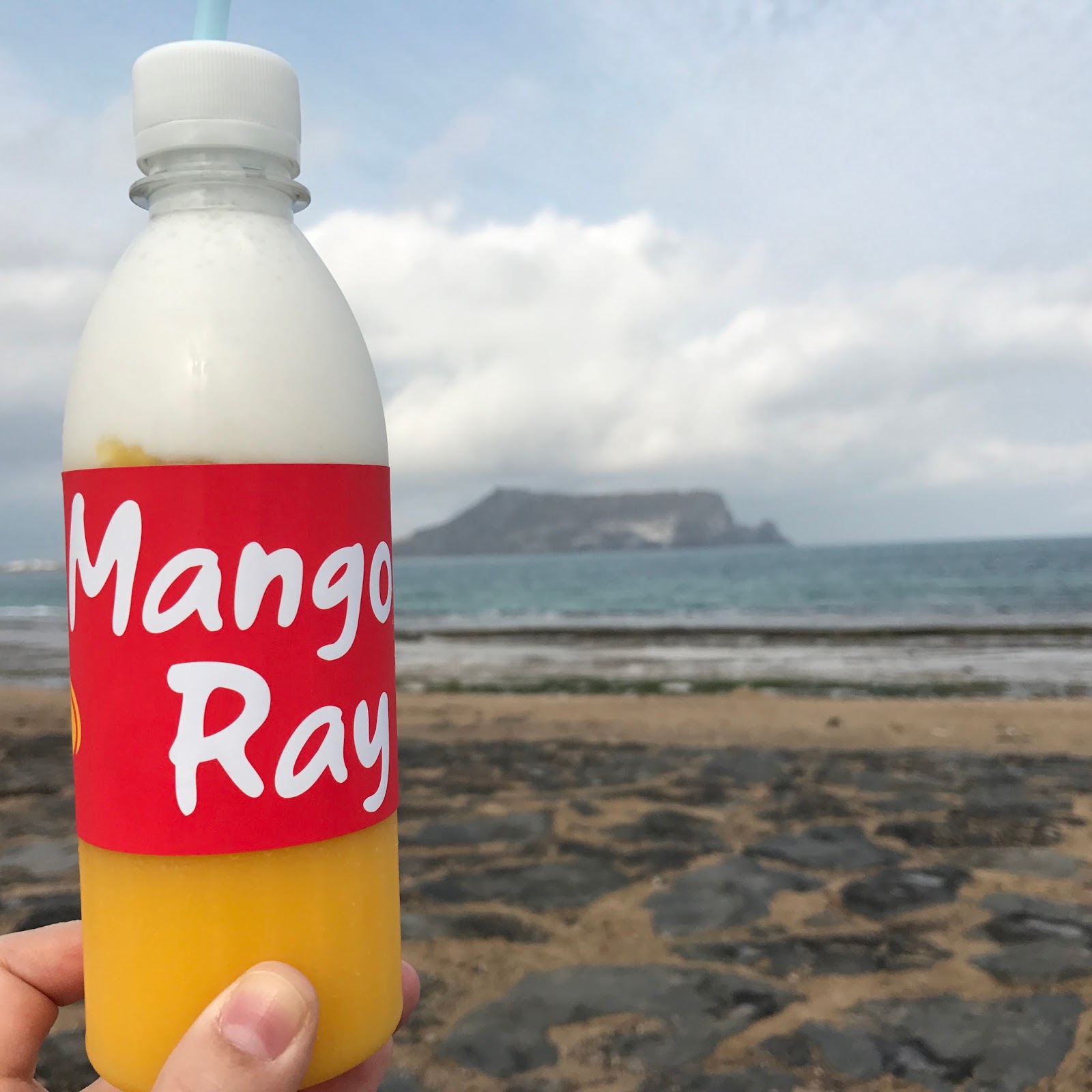 [Jeju - Seopjikoji] Mango Ray - Mango Cafe Seopjikoji