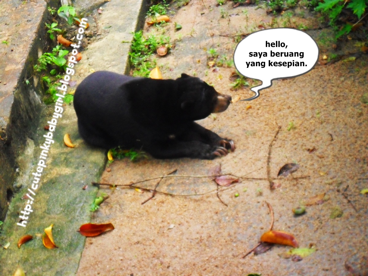 ♥ SiGadisMerahJambu ♥: Mini Zoo Kuantan, Pahang :)