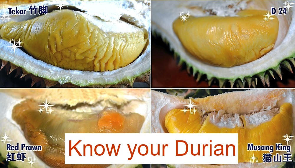 Owen Residents Committee 奥云居委会