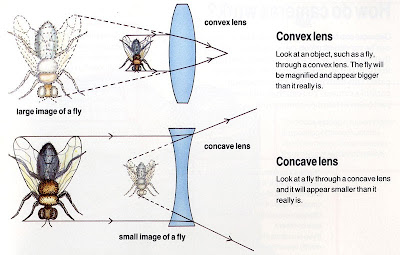 What are Convex and Concave lenses? - Ency123