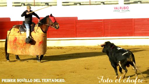 Toro, Torero y Afición: ¿Quién da más?