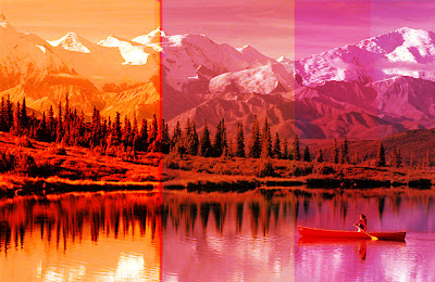 Un mundo de colores: Composiciones con colores complementarios