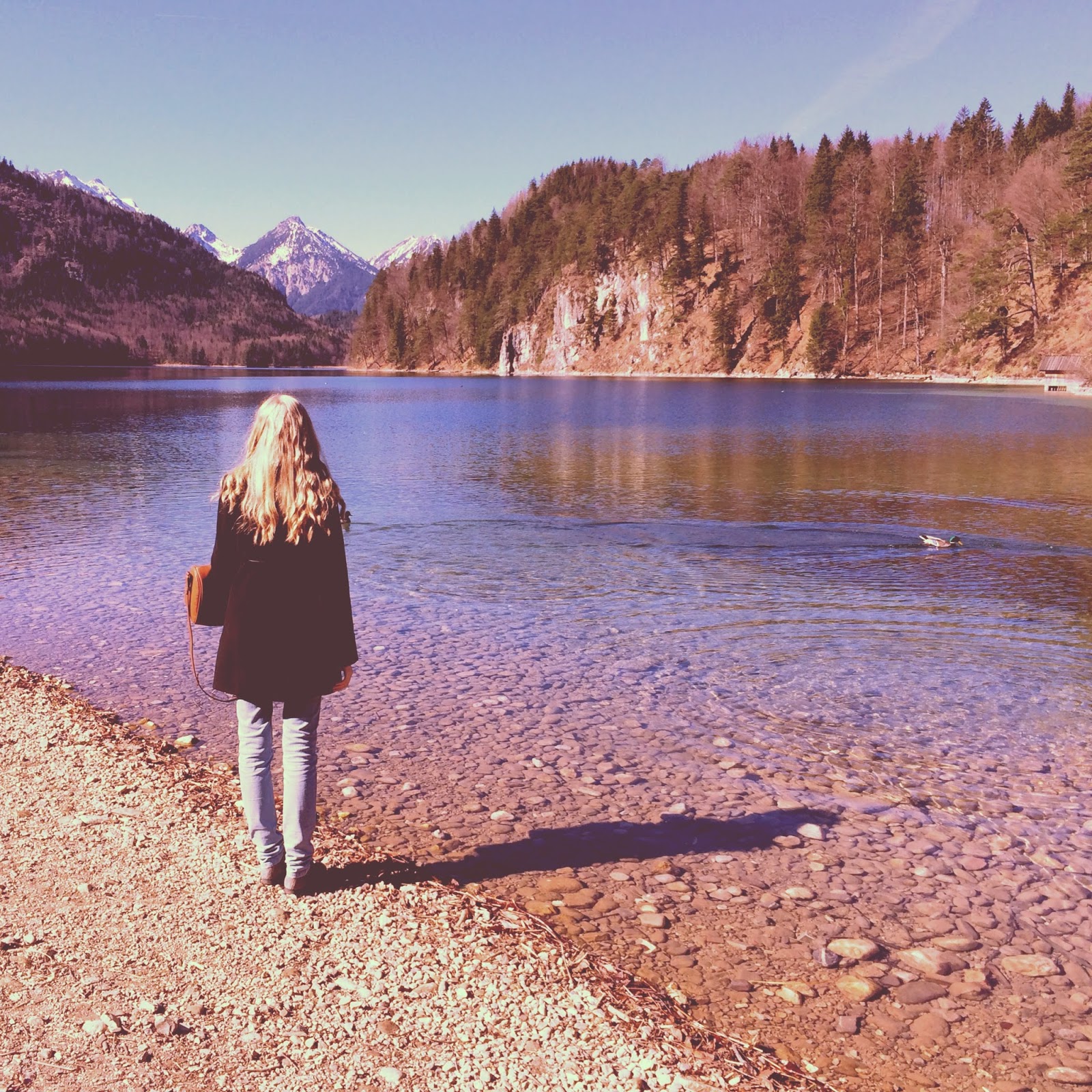 Natalie Forest: Бавария Замок Neuschwanstein и Альпы /Germany / Bavaria ...