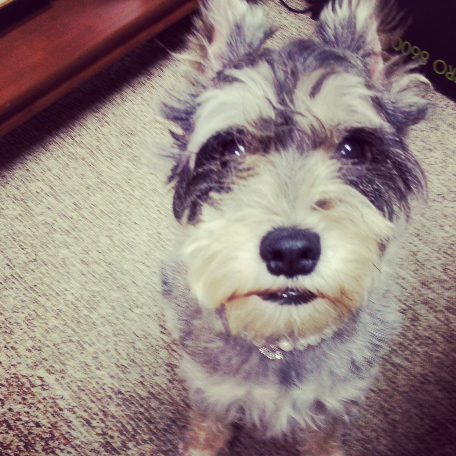 ~a fabulously frugal event