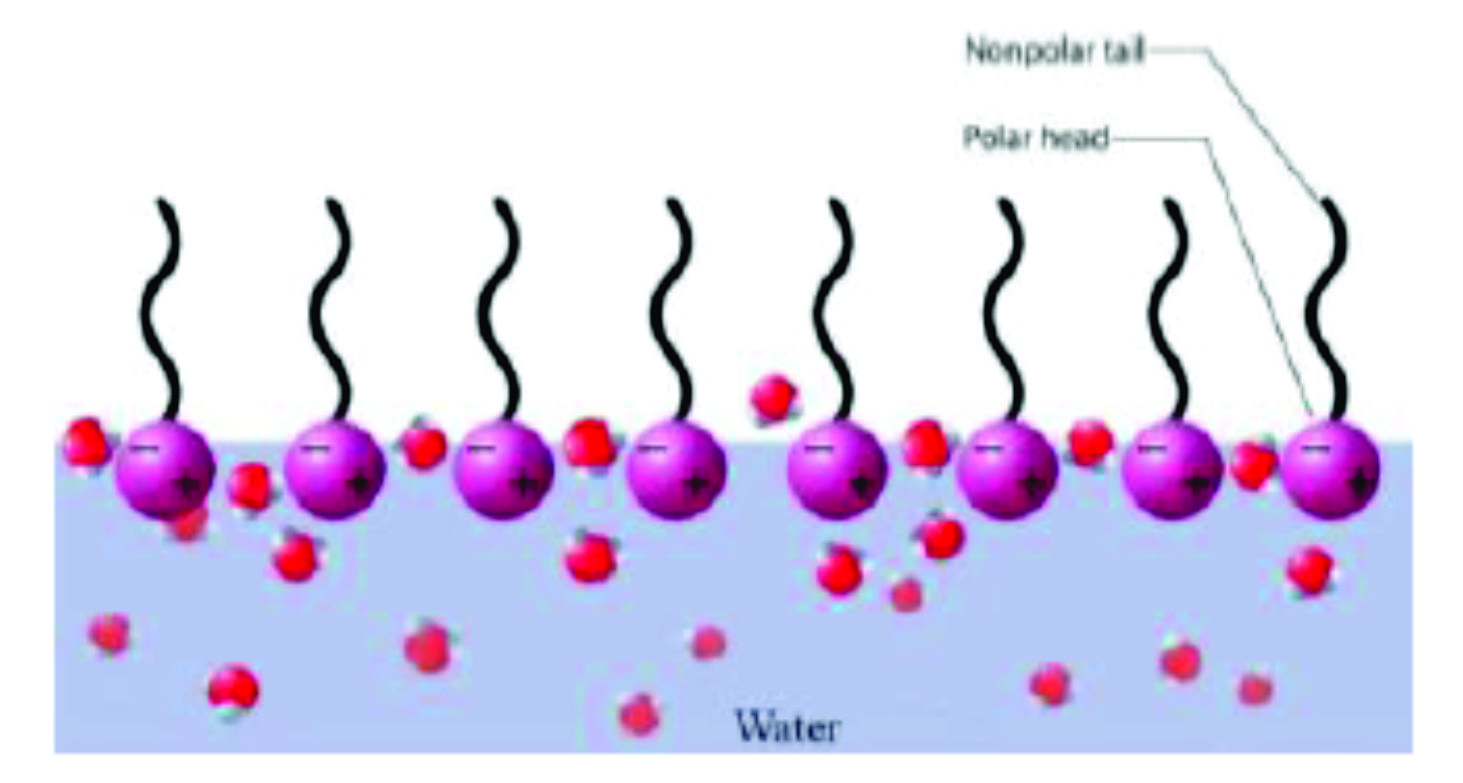 Hidup Sehat Wal Afiat: Emulsi