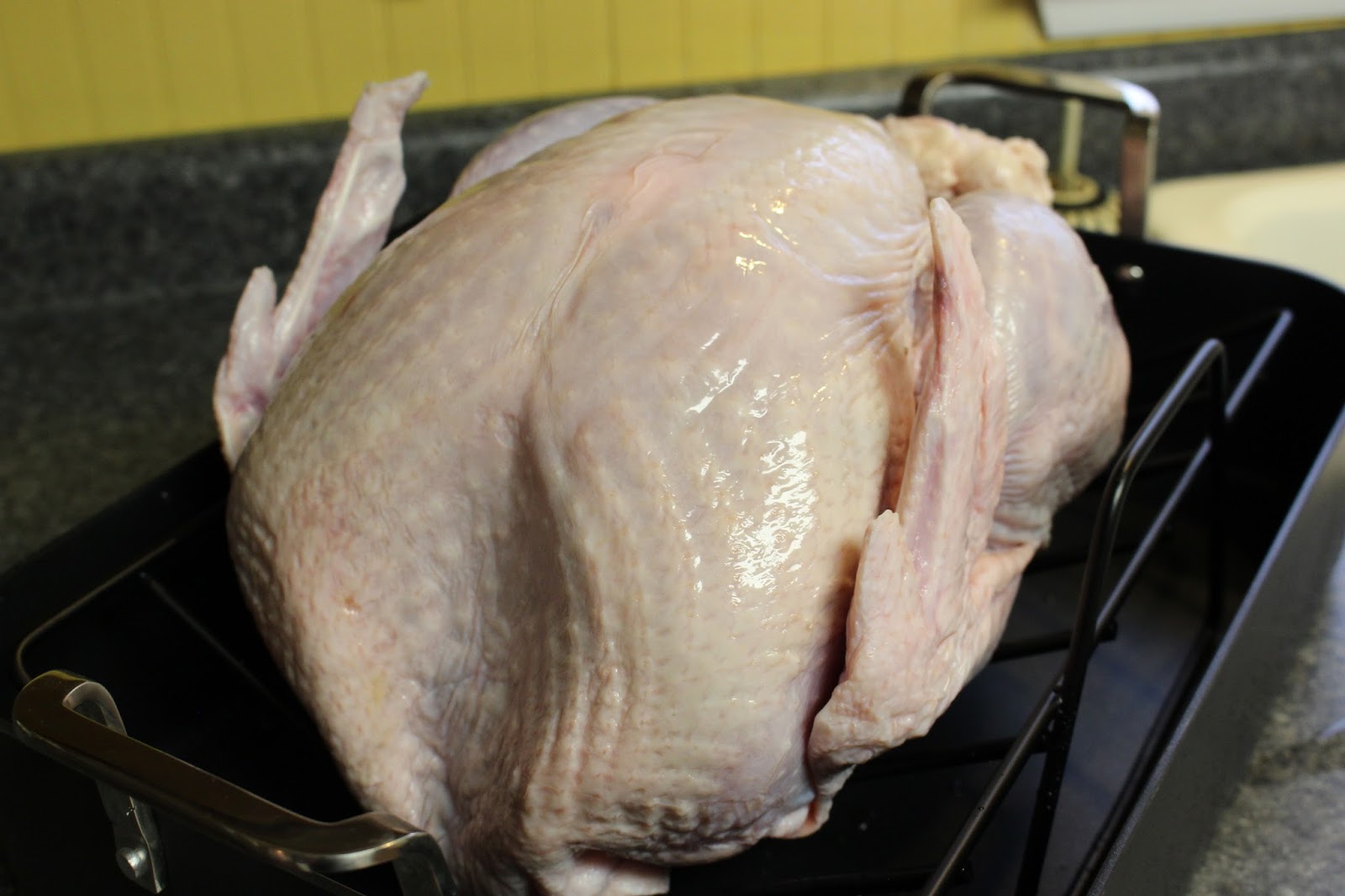 Chicken Scratch Poultry: Open Roasting A Turkey
