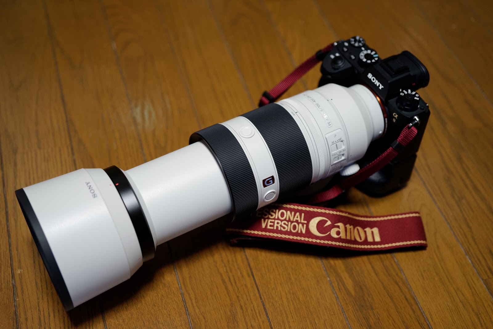 SONY FE 100-400mm F4.5-5.6 GM OSS | Photo of the Life