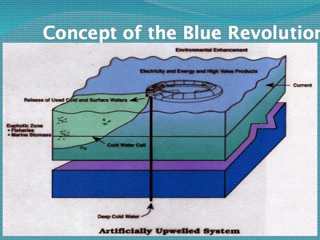 BLUE REVOLUTION: 2016