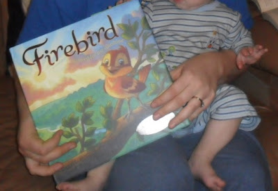 Domestic Randomness: A Children's Book Review - Firebird by Brent ...