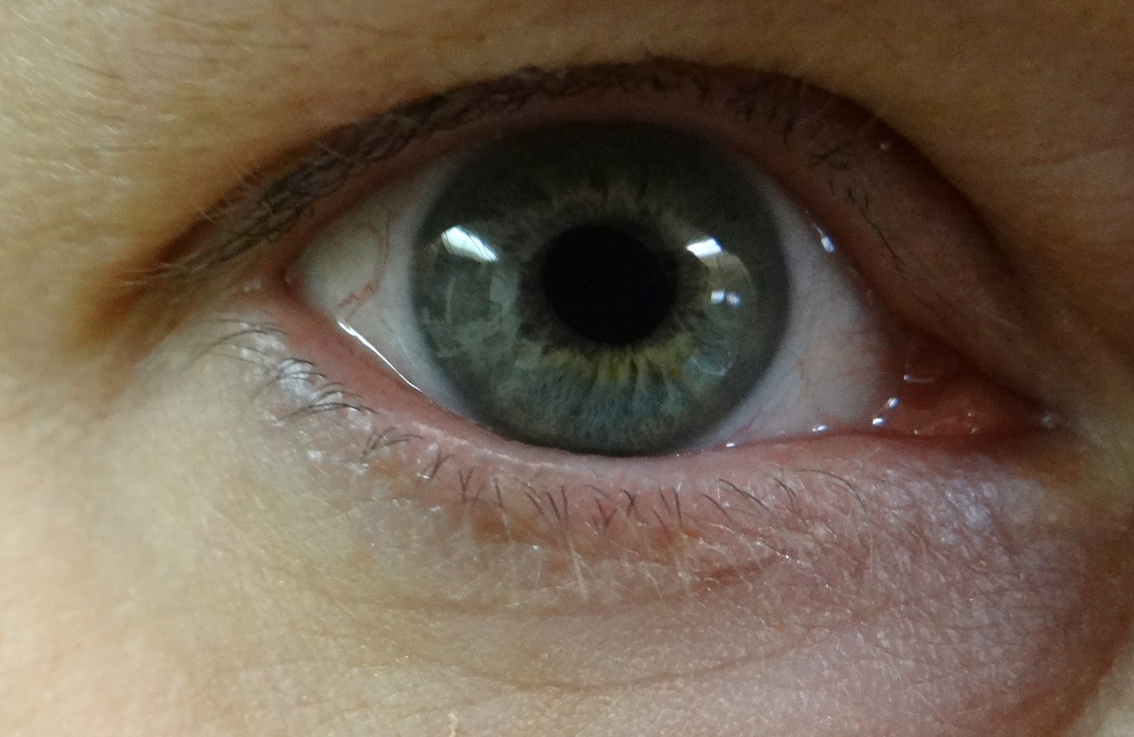 Random Thoughts: January 2017