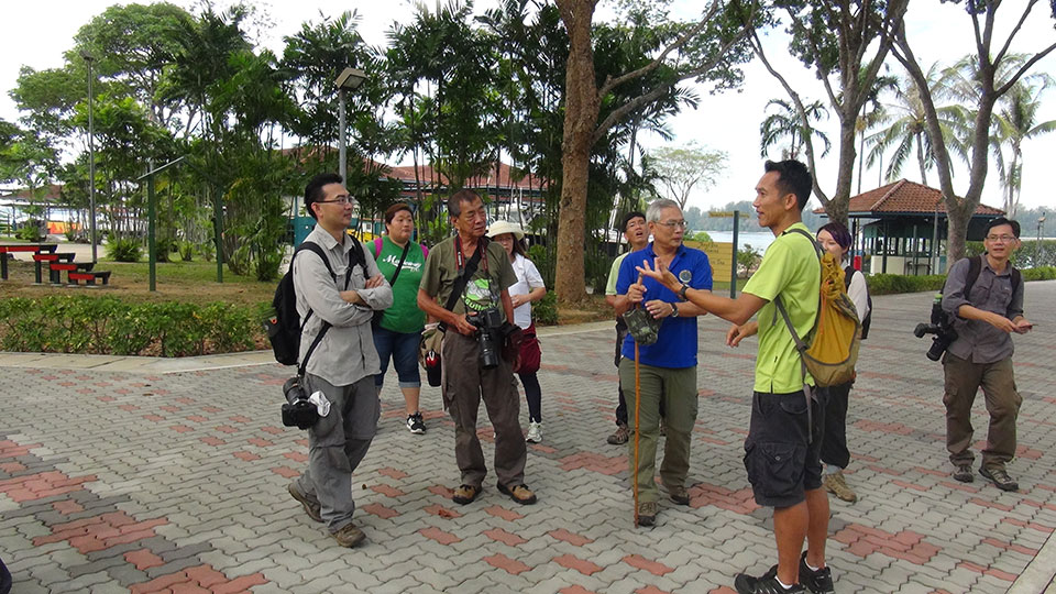 Butterflies of Singapore: Ubin Field Survey 2016