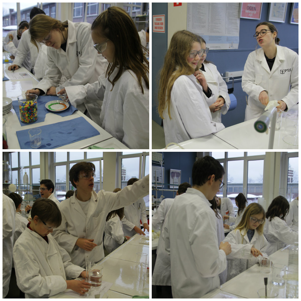 Klas6sintmichiel: STEM-dag Boom