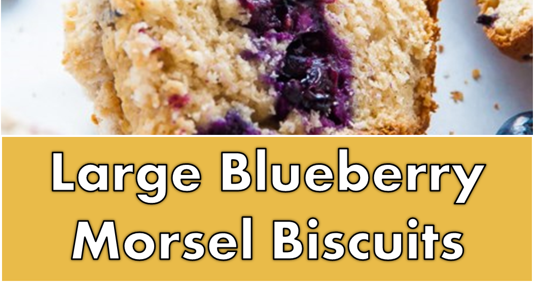 742 Reviews: #Sweet #Cake >> Large #Blueberry Morsel #Biscuits - .....